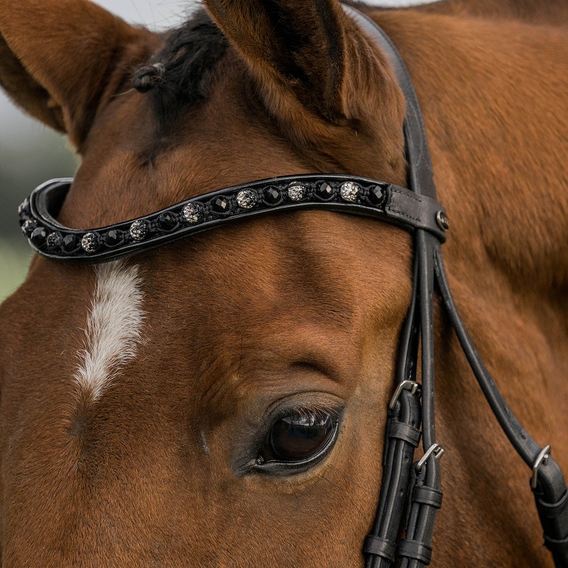 uzda za konje, prem house, horka